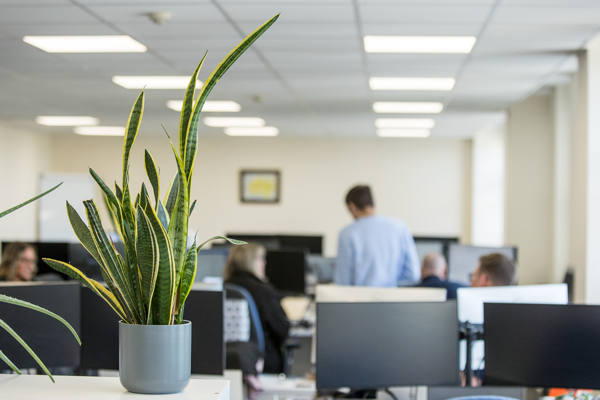 Bespoke IT Solutions Ltd - Business IT Support - Farnborough